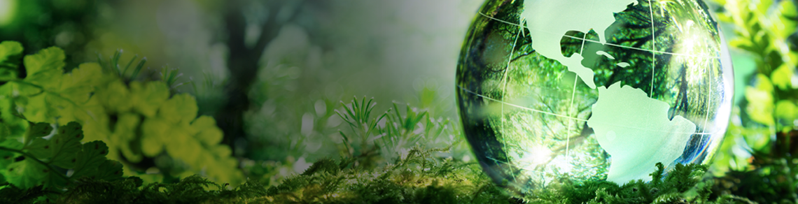 EHS Strategy | Vision Methodology™ for Environment, Health & Safety