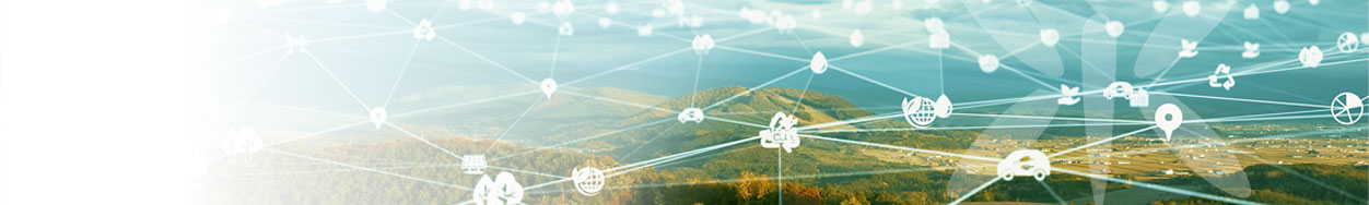 Digitalize Your Carbon Footprint