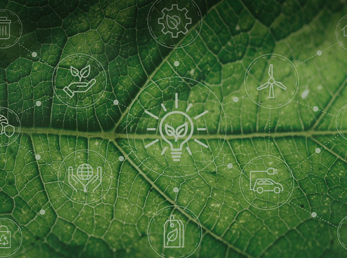 SAP Sustainability Control Tower POC | ESG Reporting in 30 Days